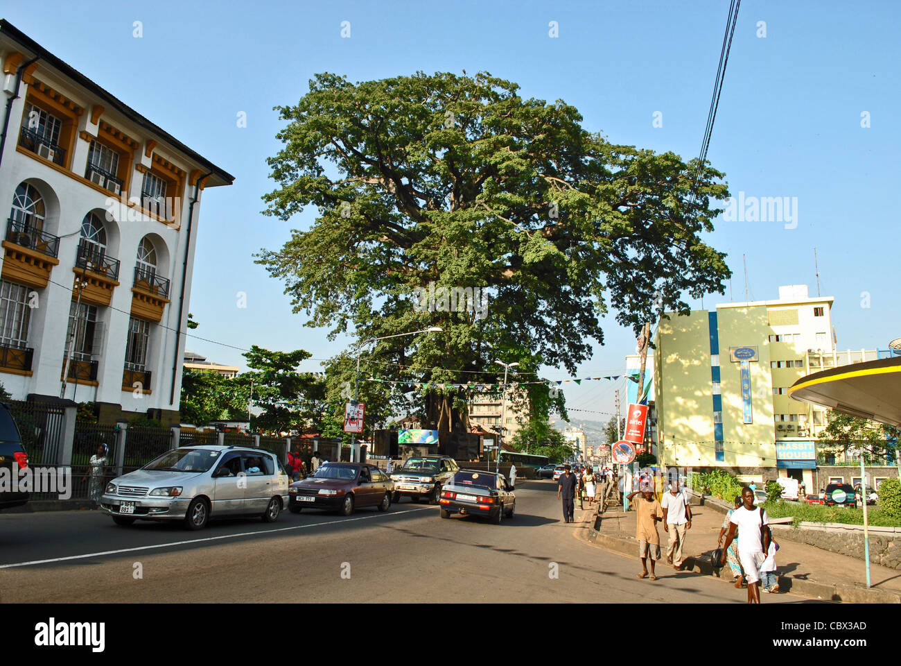 Cotton tree sierra leone hi-res stock photography and images - Alamy