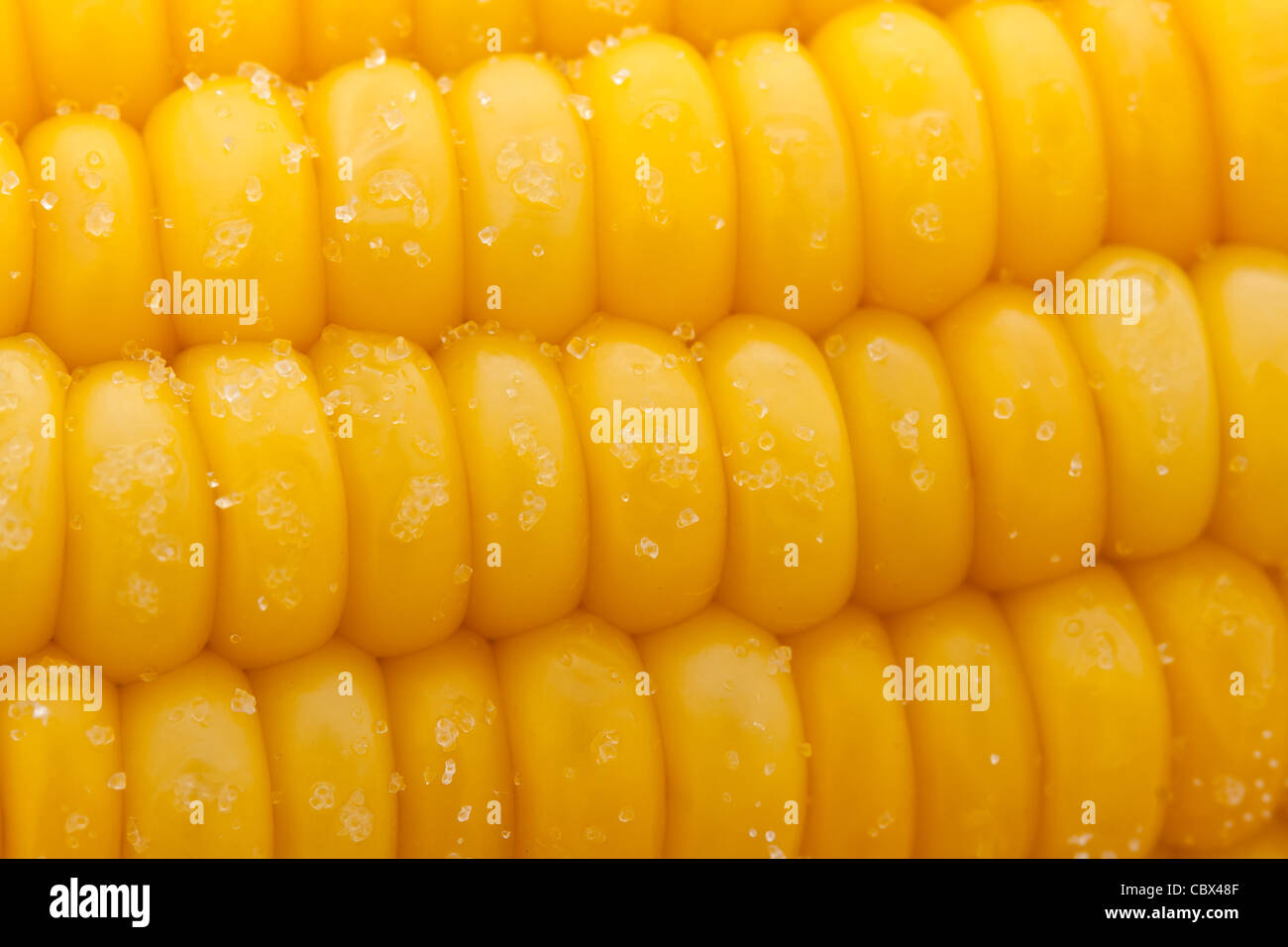boiled corn with salt closeup background Stock Photo - Alamy