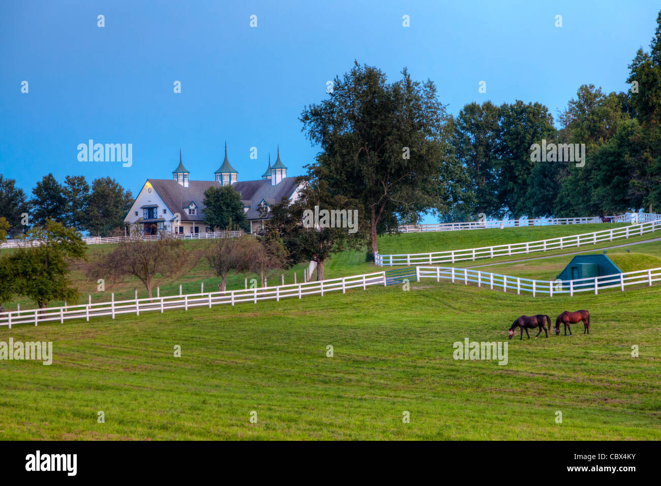 Night scene with a horse farm Stock Photo - Alamy