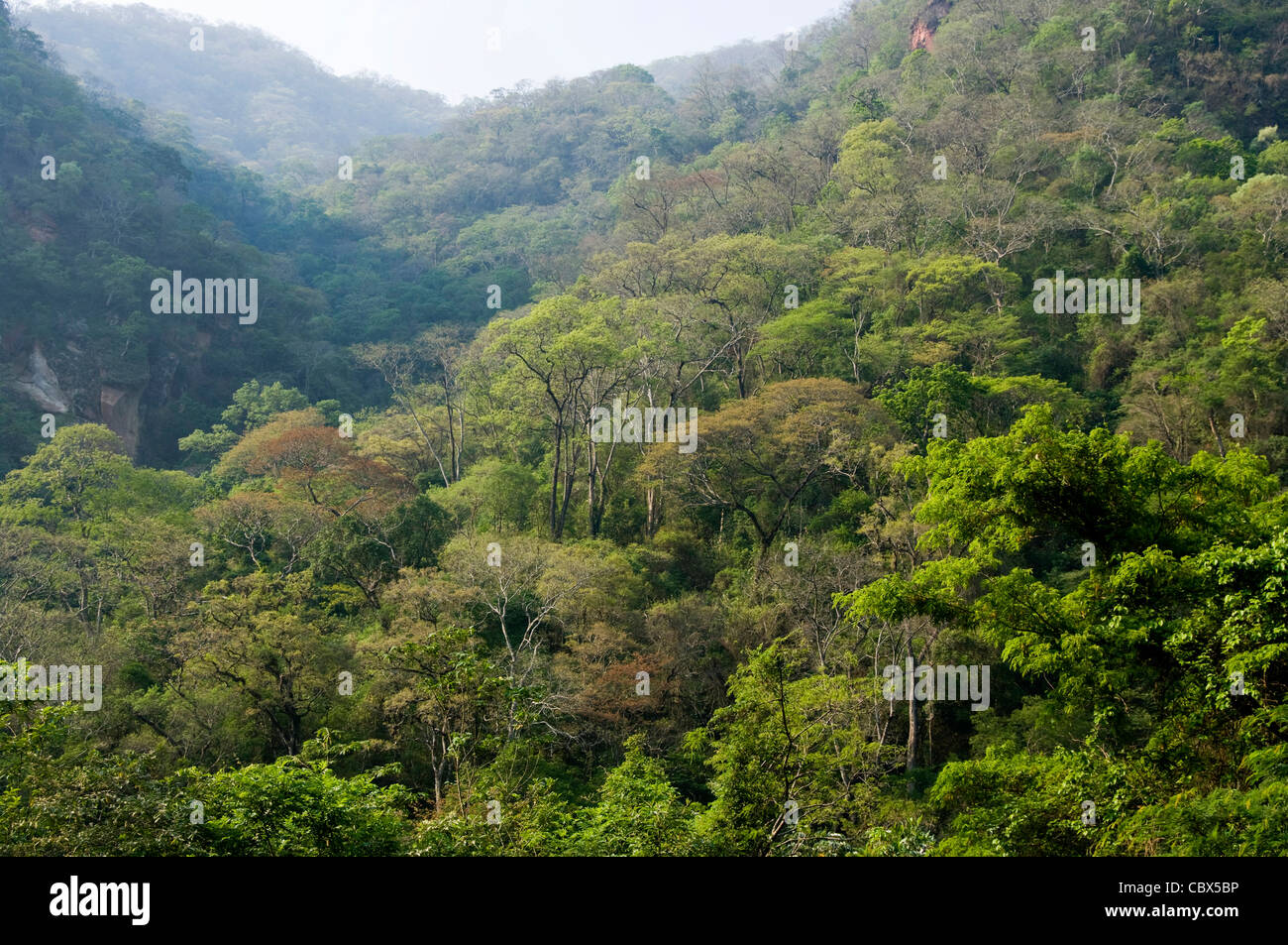 Bolivia. Santa Cruz department. River valley Piray Stock Photo - Alamy