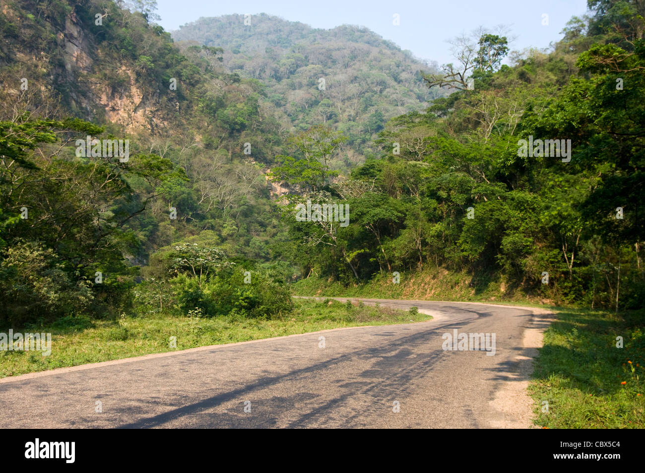 Bolivia. Santa Cruz department. River valley Piray Stock Photo - Alamy