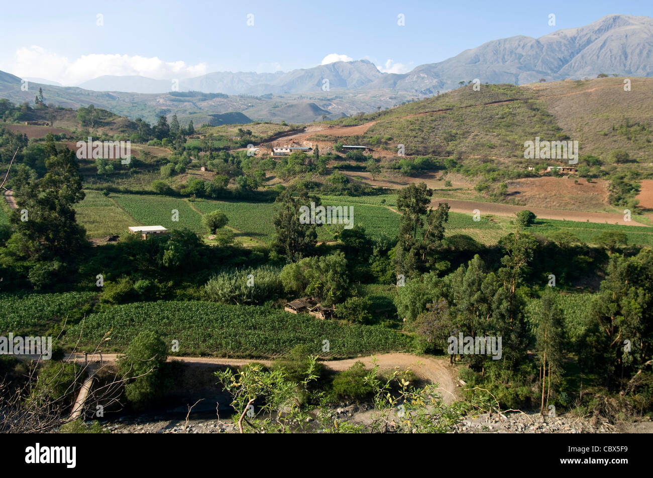 Chapare bolivia hi-res stock photography and images - Alamy