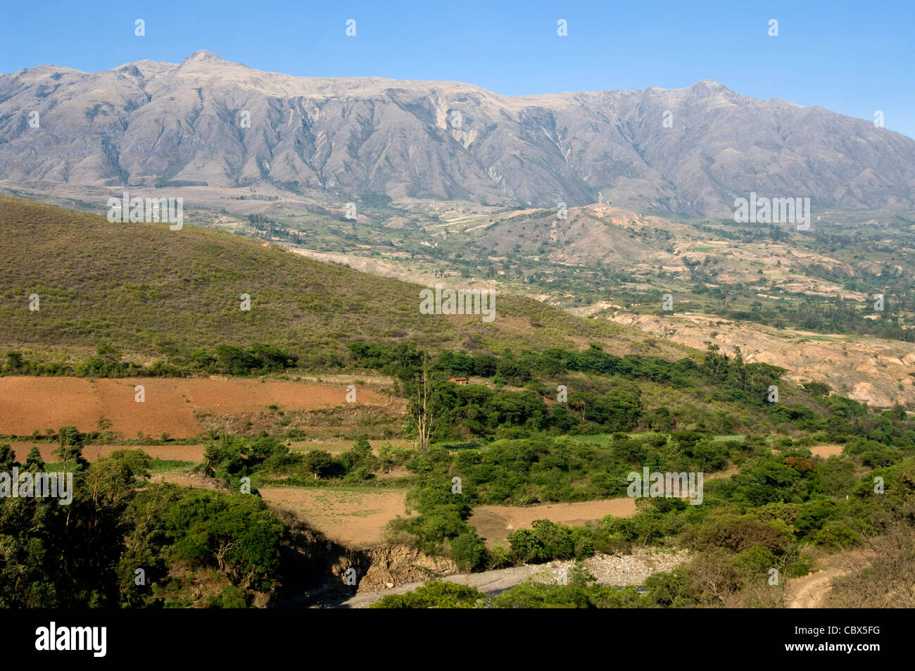 Chapare bolivia hi-res stock photography and images - Alamy