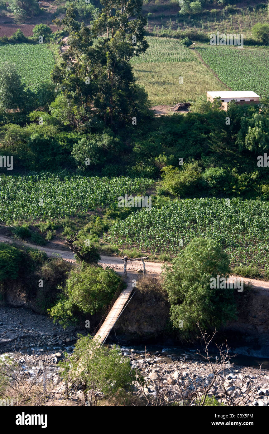 Chapare bolivia hi-res stock photography and images - Alamy