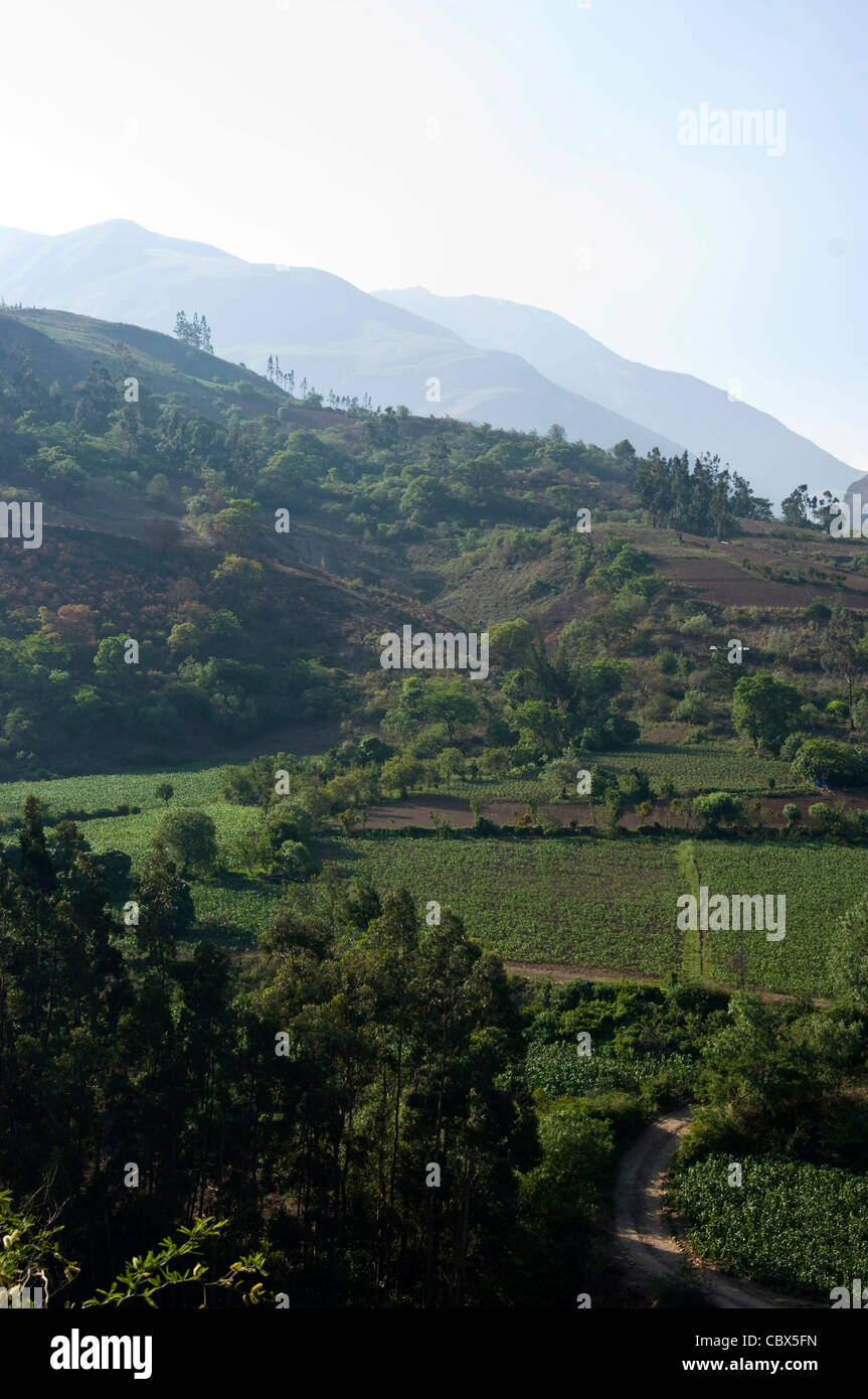 Chapare bolivia hi-res stock photography and images - Alamy