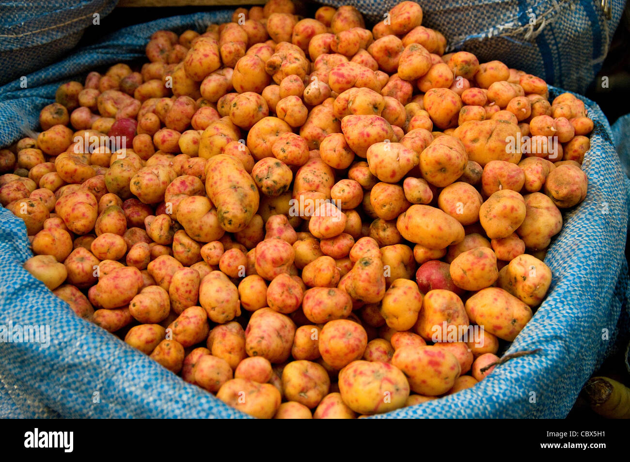 Bolivia. Fruit market in Cochabamba. Andean Potatoes Stock Photo - Alamy
