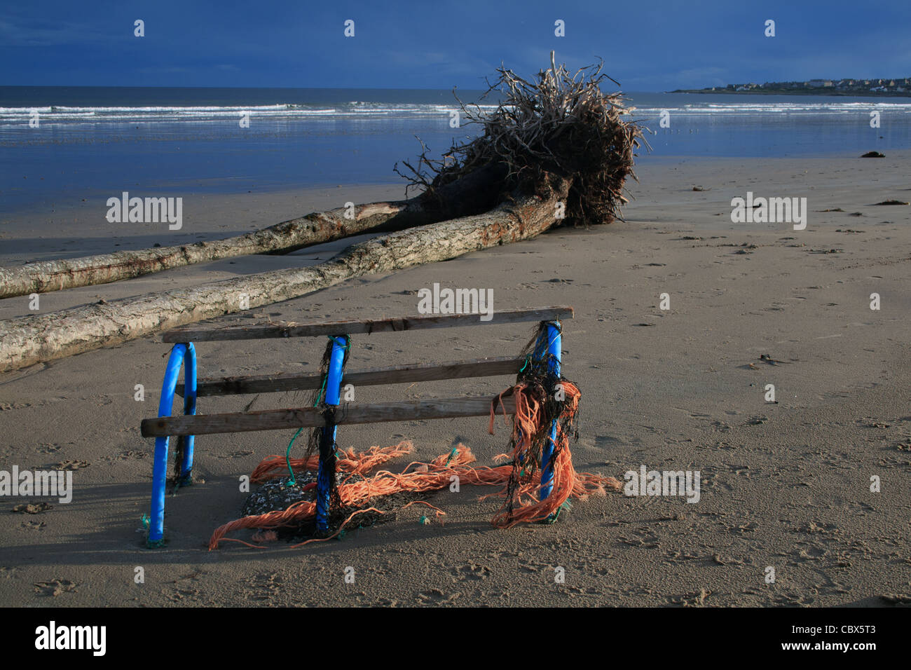 Lobster pot tree hi-res stock photography and images - Alamy