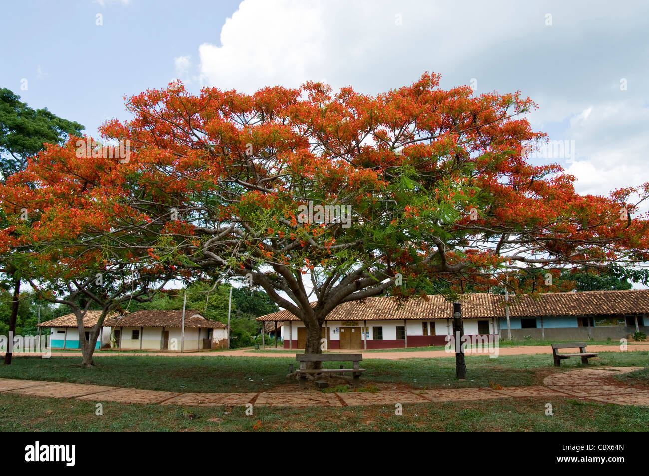 Bolivia.Santa Ana (Chiquitania). Old Jesuit Mission(1755). World ...
