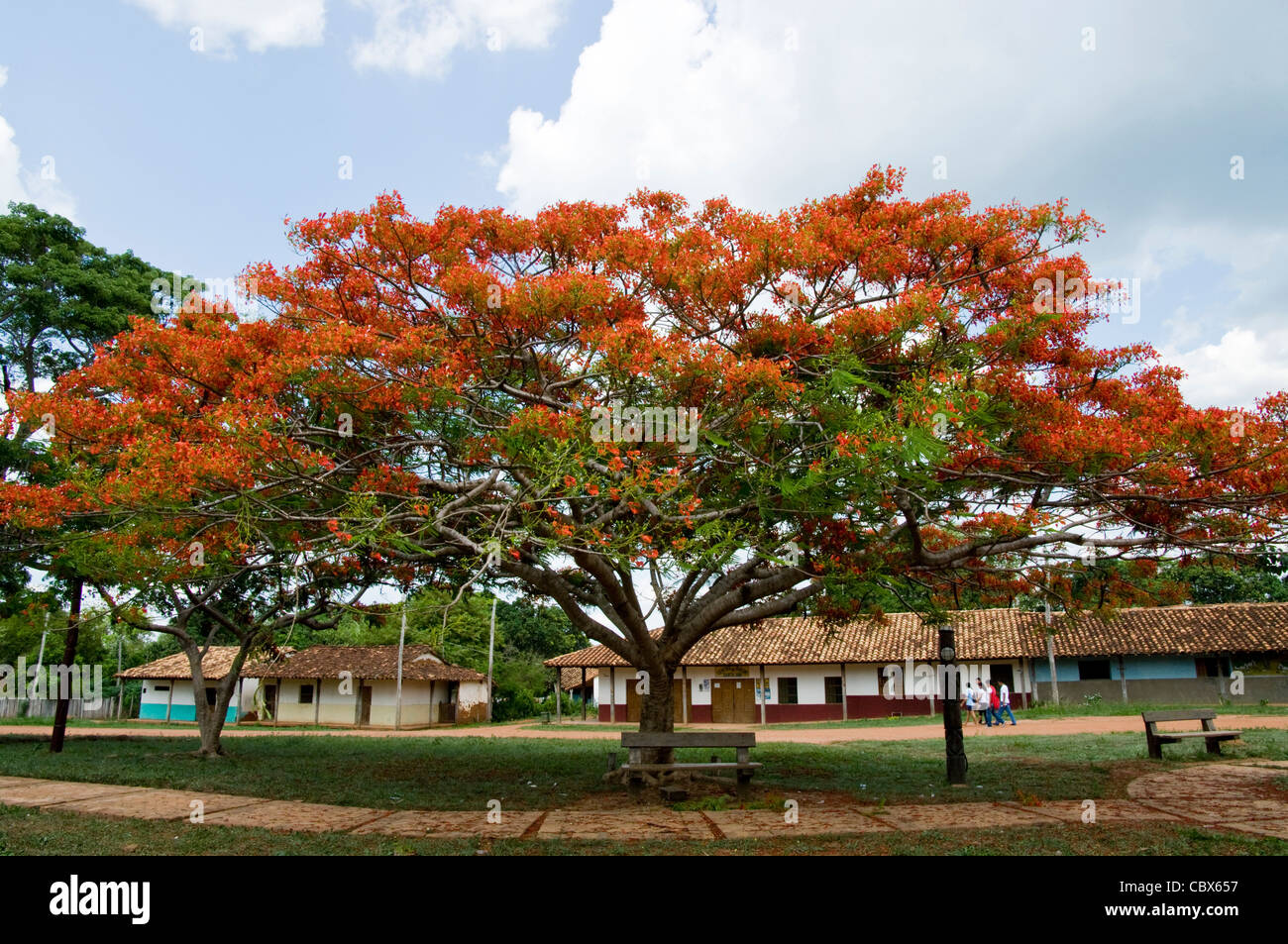 Bolivia.Santa Ana (Chiquitania). Old Jesuit Mission(1755). World ...