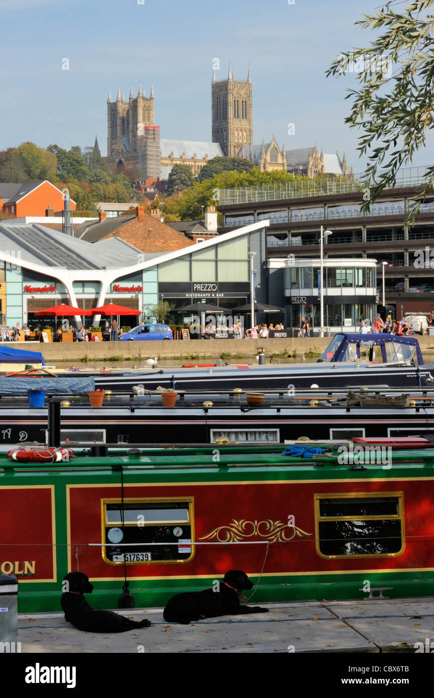 Narrowboats in Brayford Pool and the waterfront in Lincoln Stock Photo ...