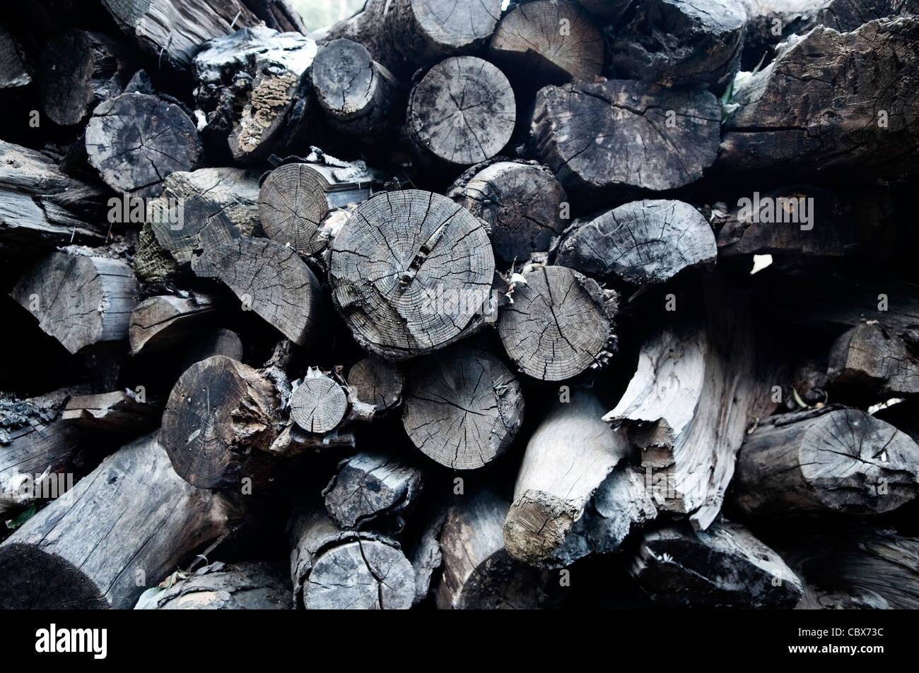 Stacked and cut logs for firewood, India Stock Photo - Alamy