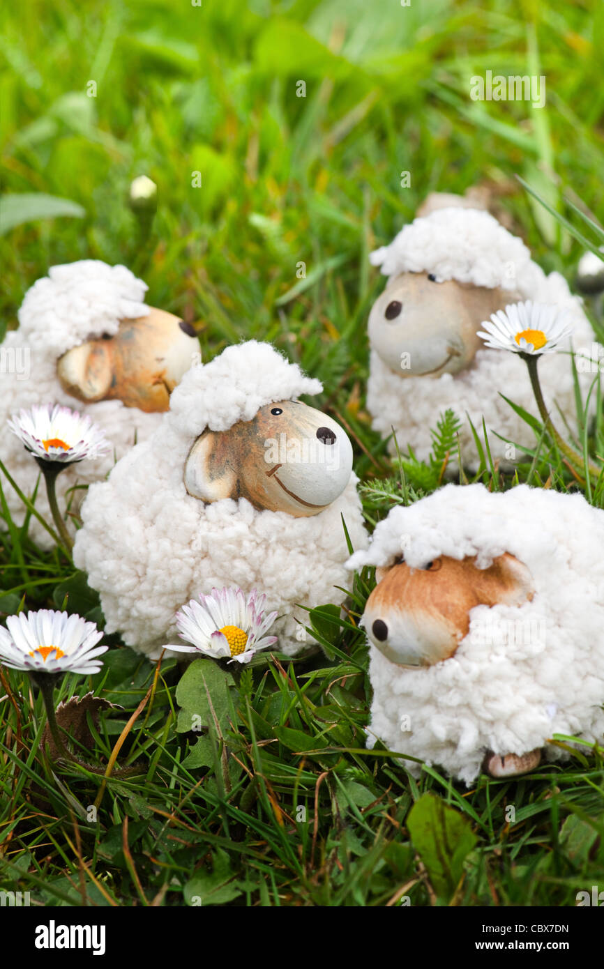 Sheep grass hi-res stock photography and images - Alamy