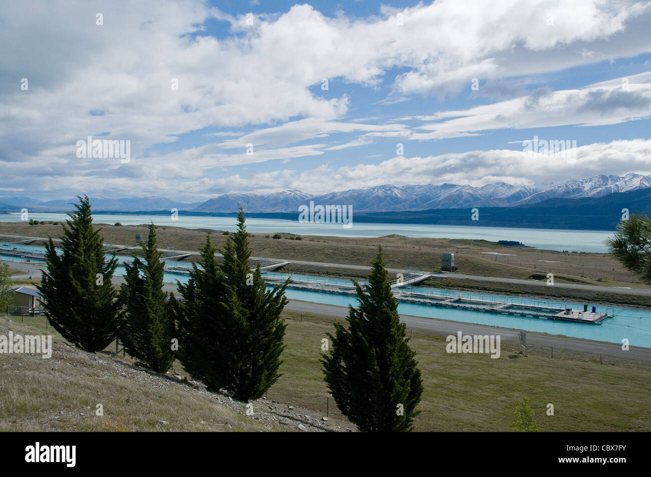 New Zealand's Mount Cook Alpine Salmon farm near Tekapo produces all ...