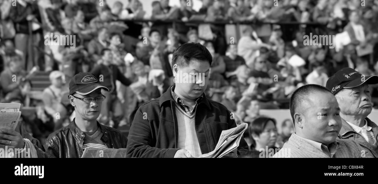 Sha Tin, Hong Kong. Spectators at the race track of the Hong Kong ...