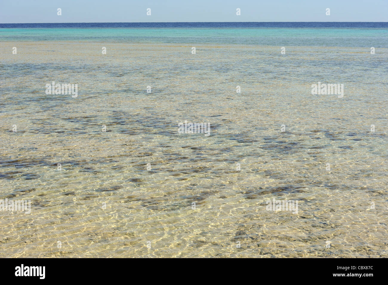 Shallow water background hi-res stock photography and images - Alamy
