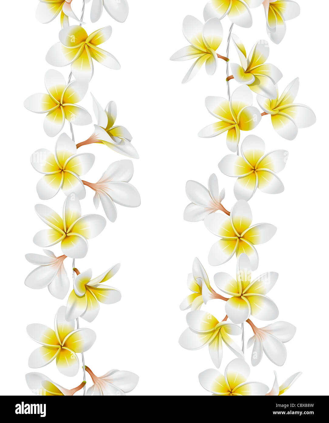 Hawaiian flowers isolated hi-res stock photography and images - Alamy