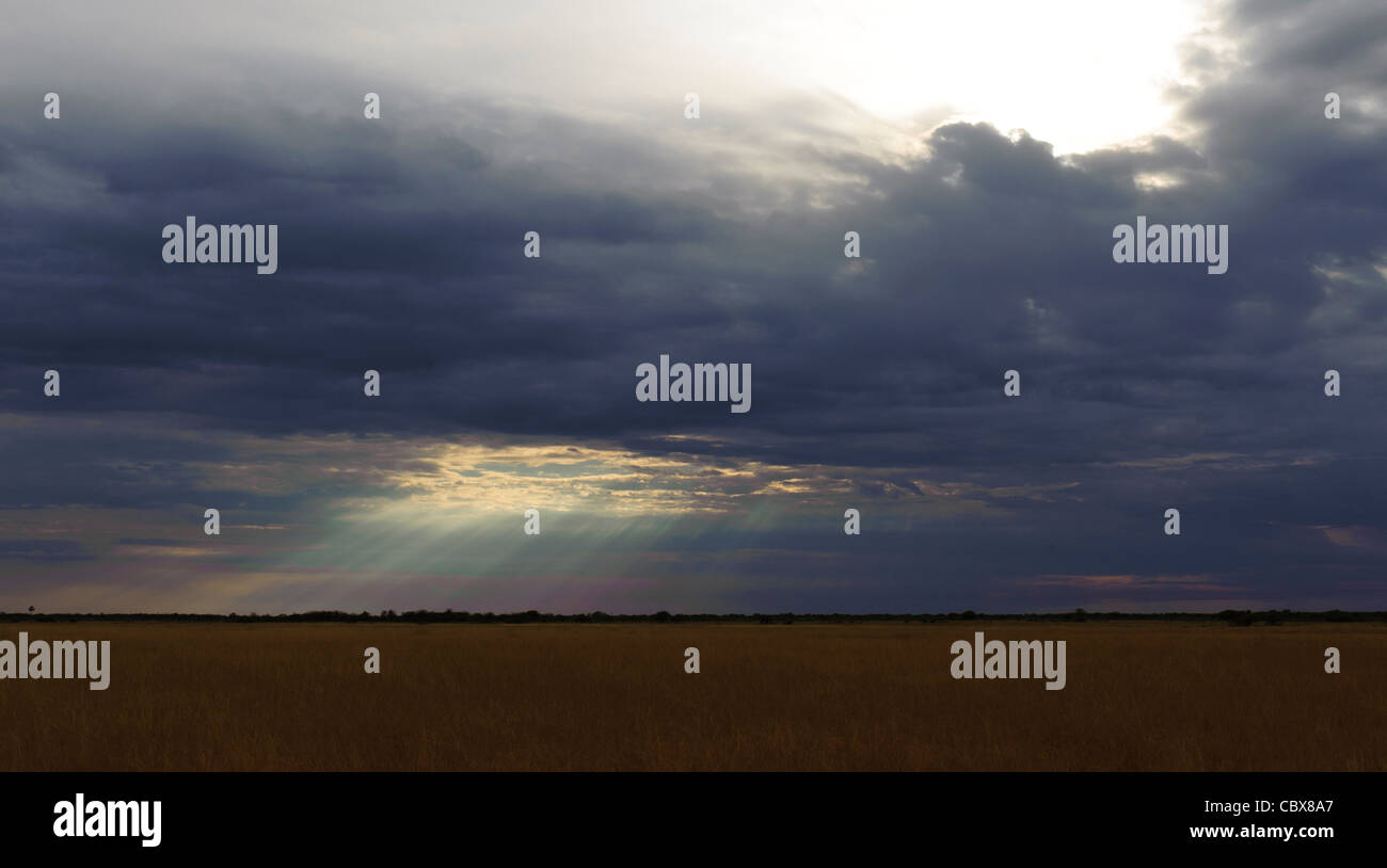 Thunder clouds approaching park hi-res stock photography and images - Alamy