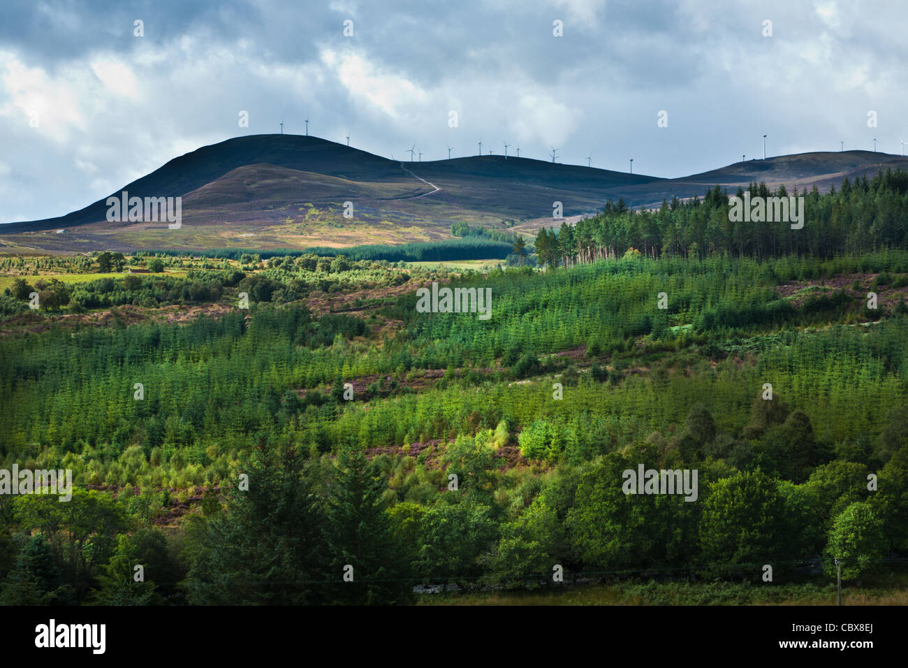Highland View, Strath Rusdale, Ross & Cromarty, Scotland Stock Photo ...