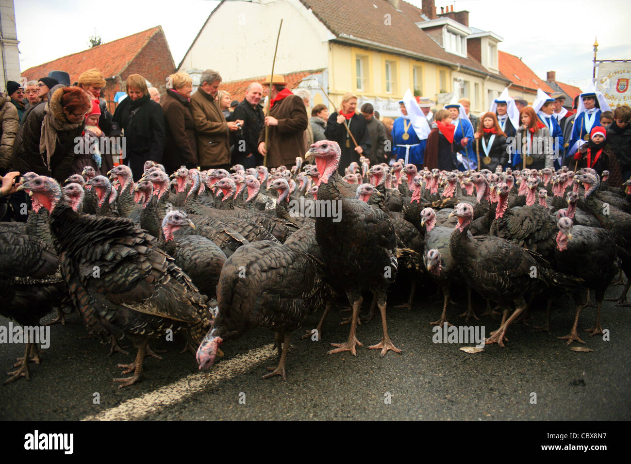Licques Fete de la Dinde, Turkey festival at Licques near Calais, Pas ...
