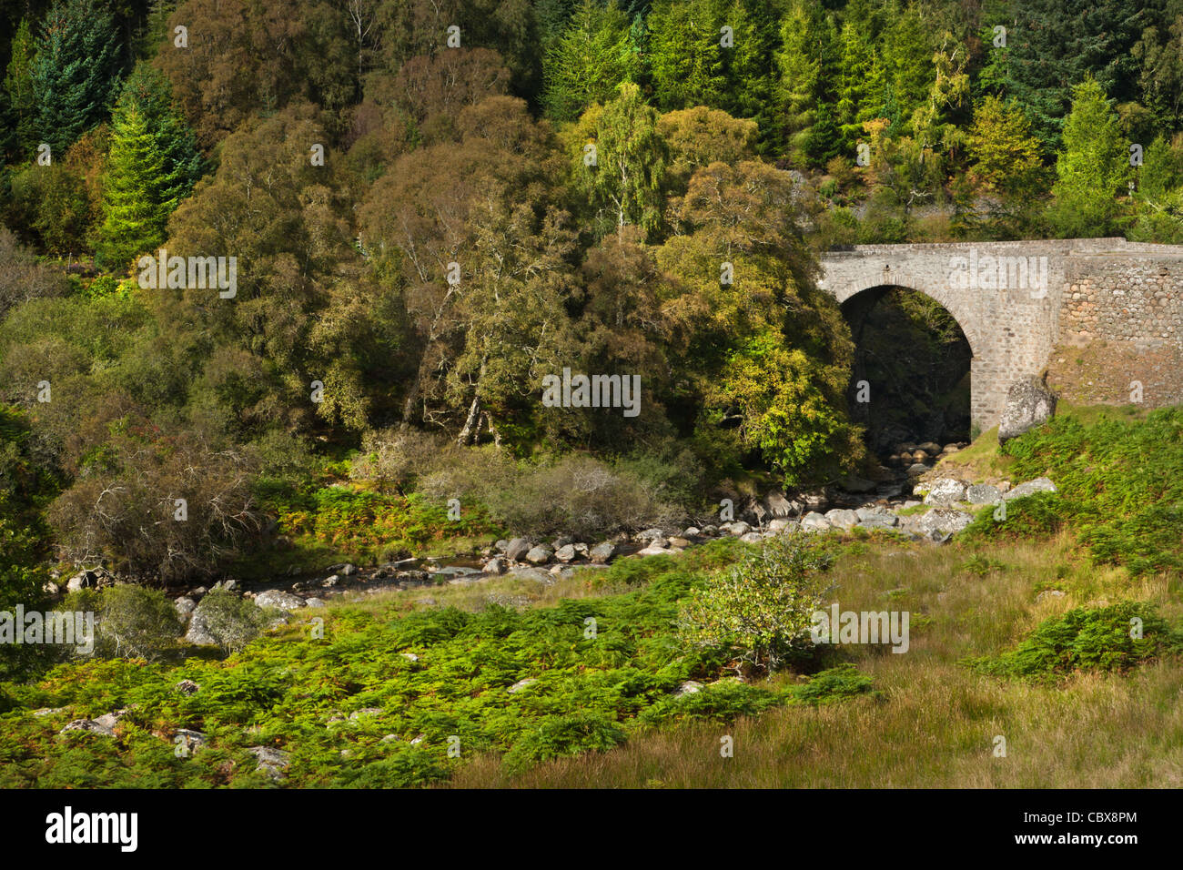 Cromarty bridge hi-res stock photography and images - Alamy