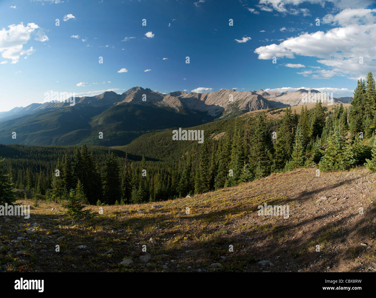 The view north into the Collegiate Peaks Wilderness from the wilderness ...