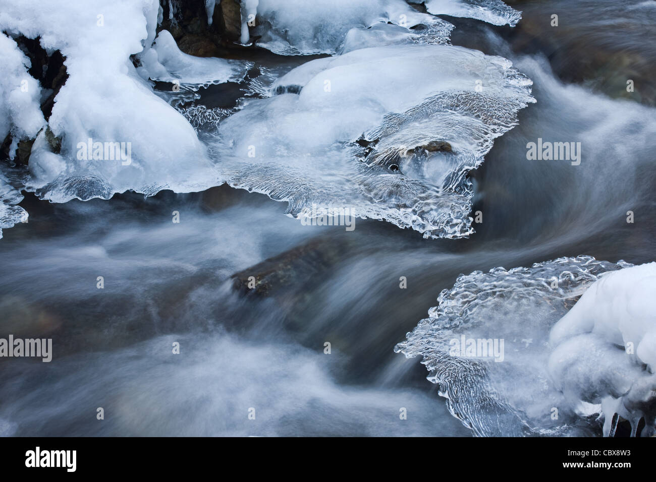 brook, cascade, cold, creek, crystal, december, environment, fall ...