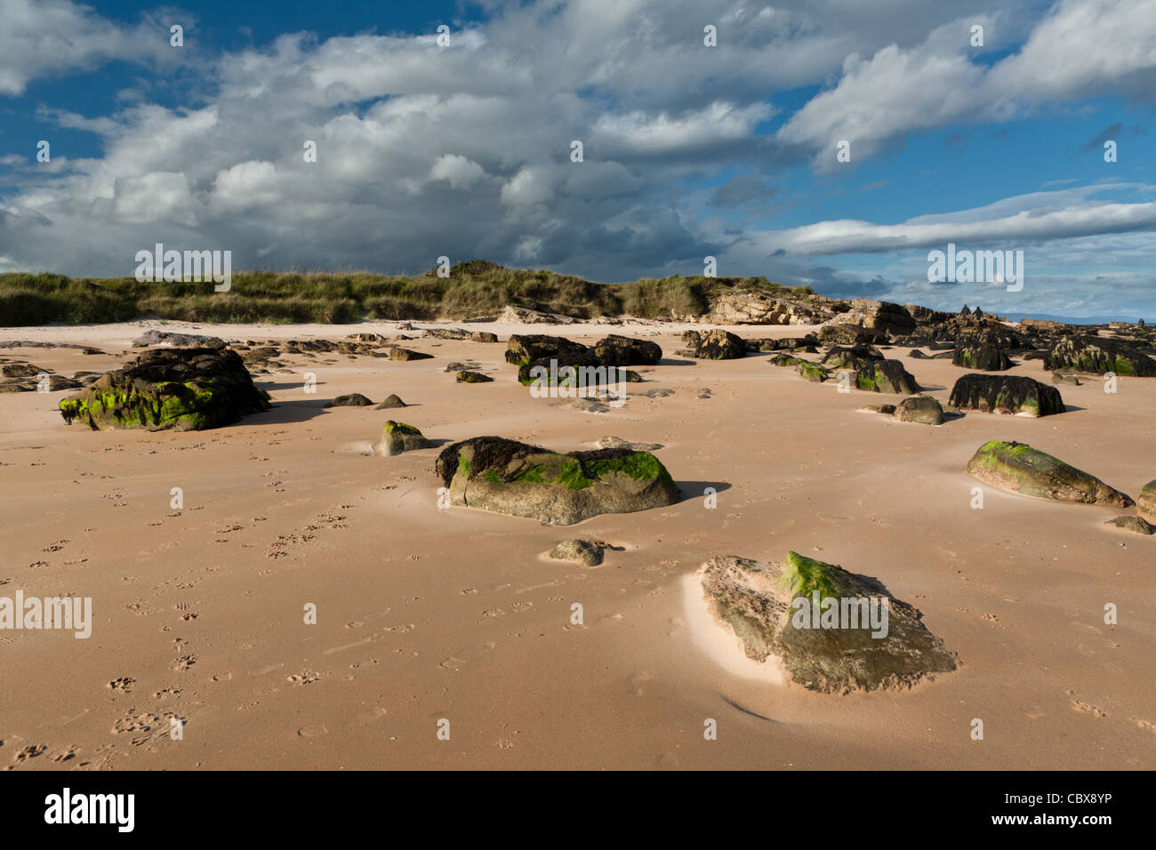 Dornoch Beach, Ross & Cromarty, Scotland Stock Photo - Alamy