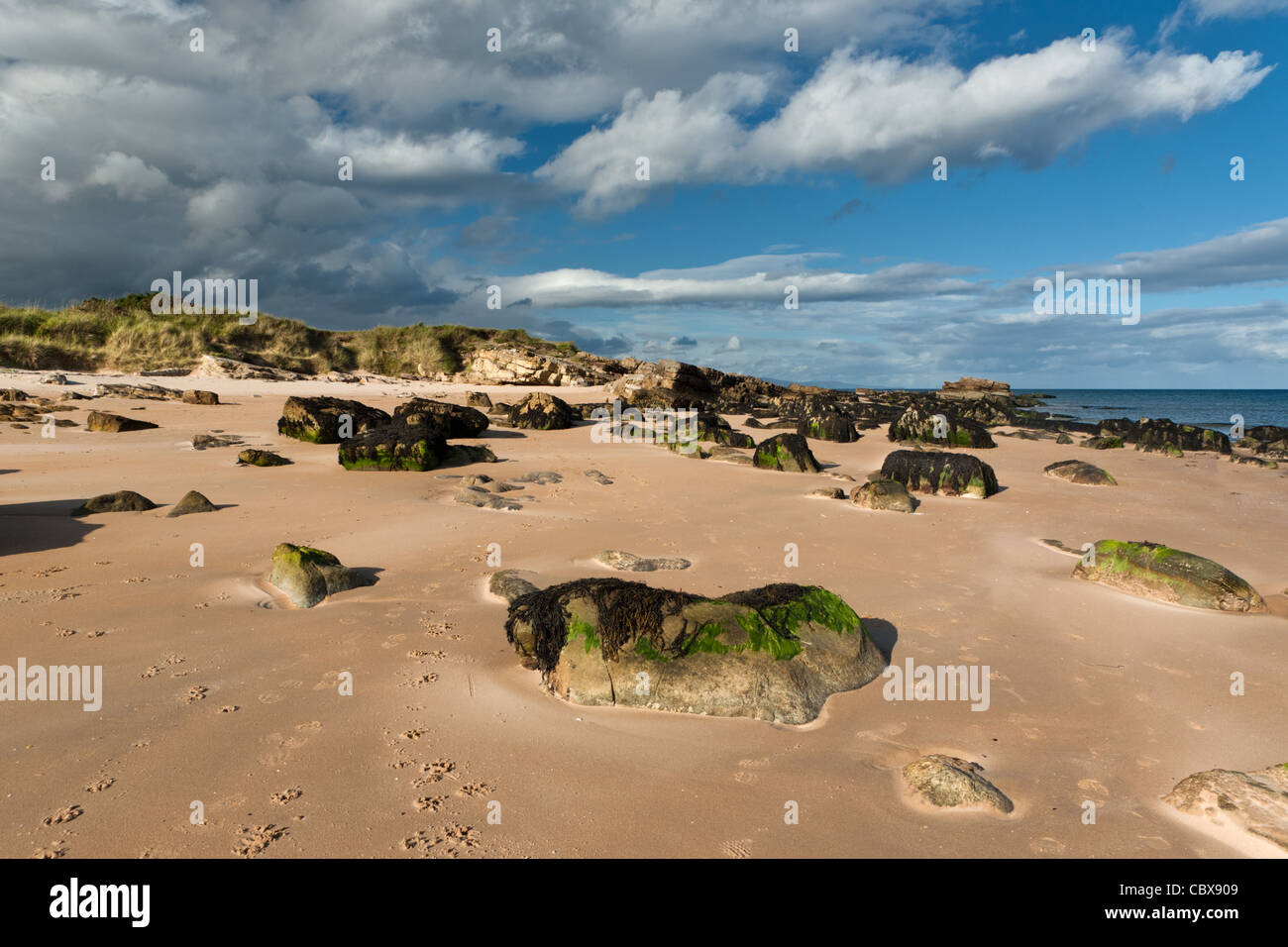 Dornoch Beach High Resolution Stock Photography and Images - Alamy