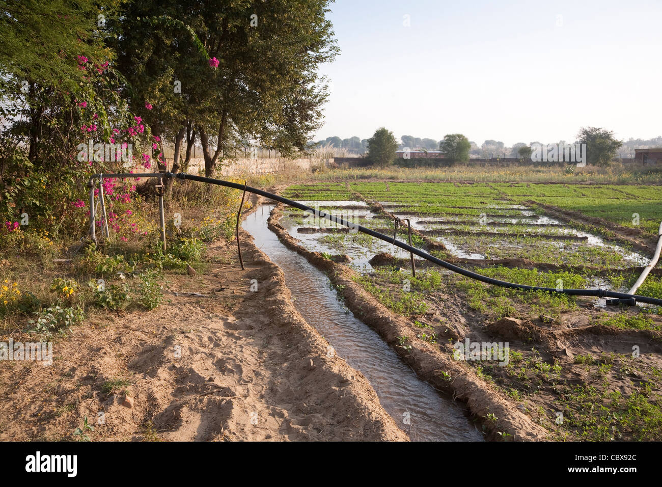 India irrigation pipe hi-res stock photography and images - Alamy