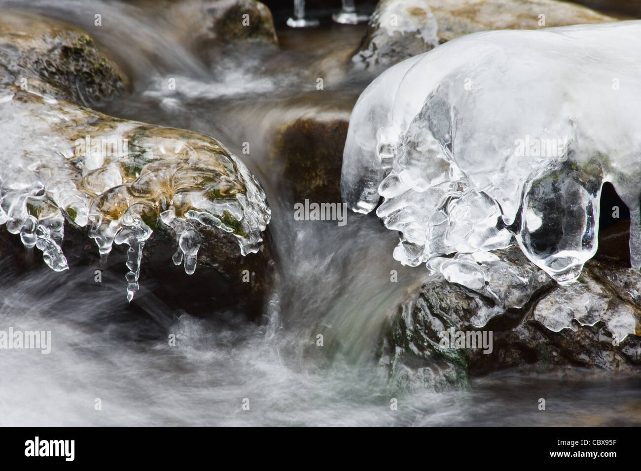 brook, cascade, cold, creek, crystal, december, environment, fall ...