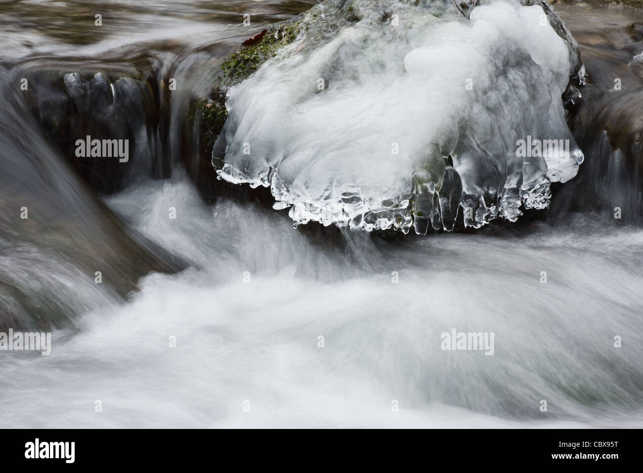 brook, cascade, cold, creek, crystal, december, environment, fall ...