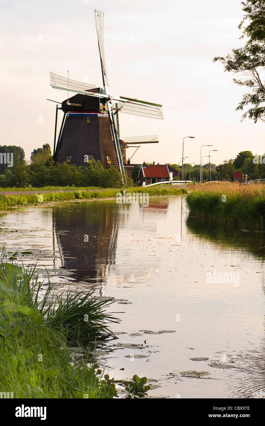 Dutch windmills with reflection after sunrise in spring - vertical ...