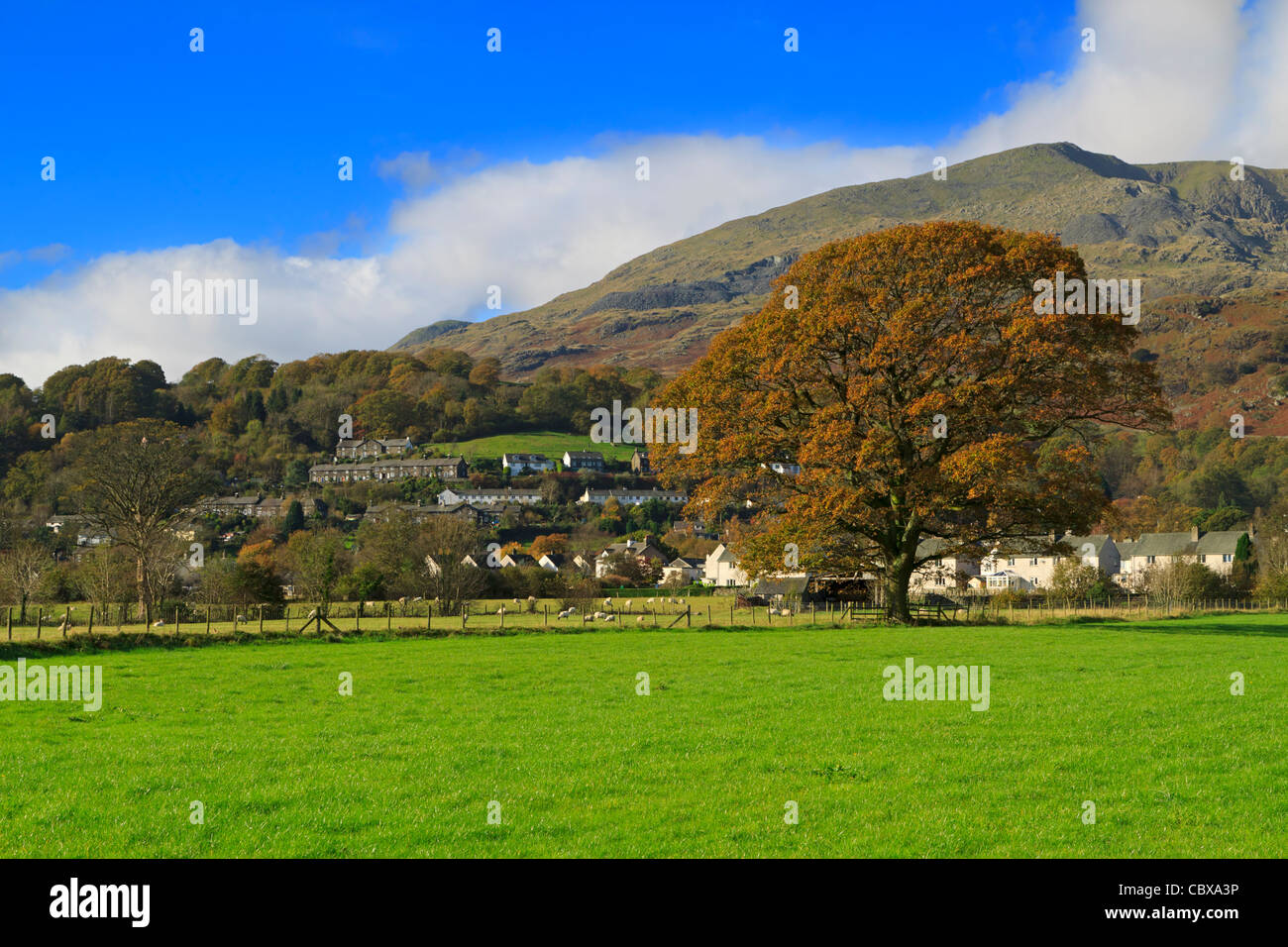 Coniston, Cumbria, UK. Pretty village nestles below the fell known as ...