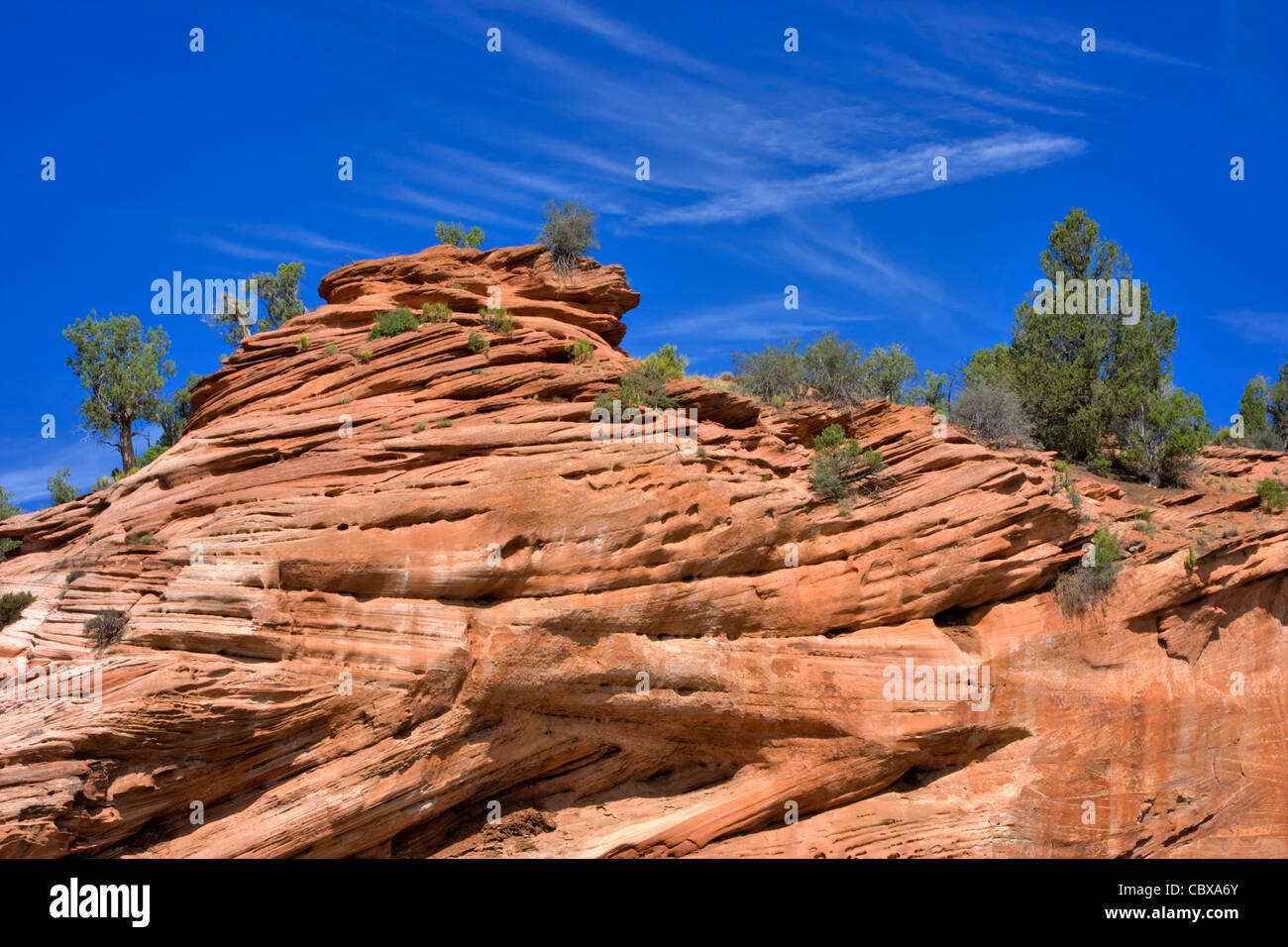 Kaibab plateau hi-res stock photography and images - Alamy