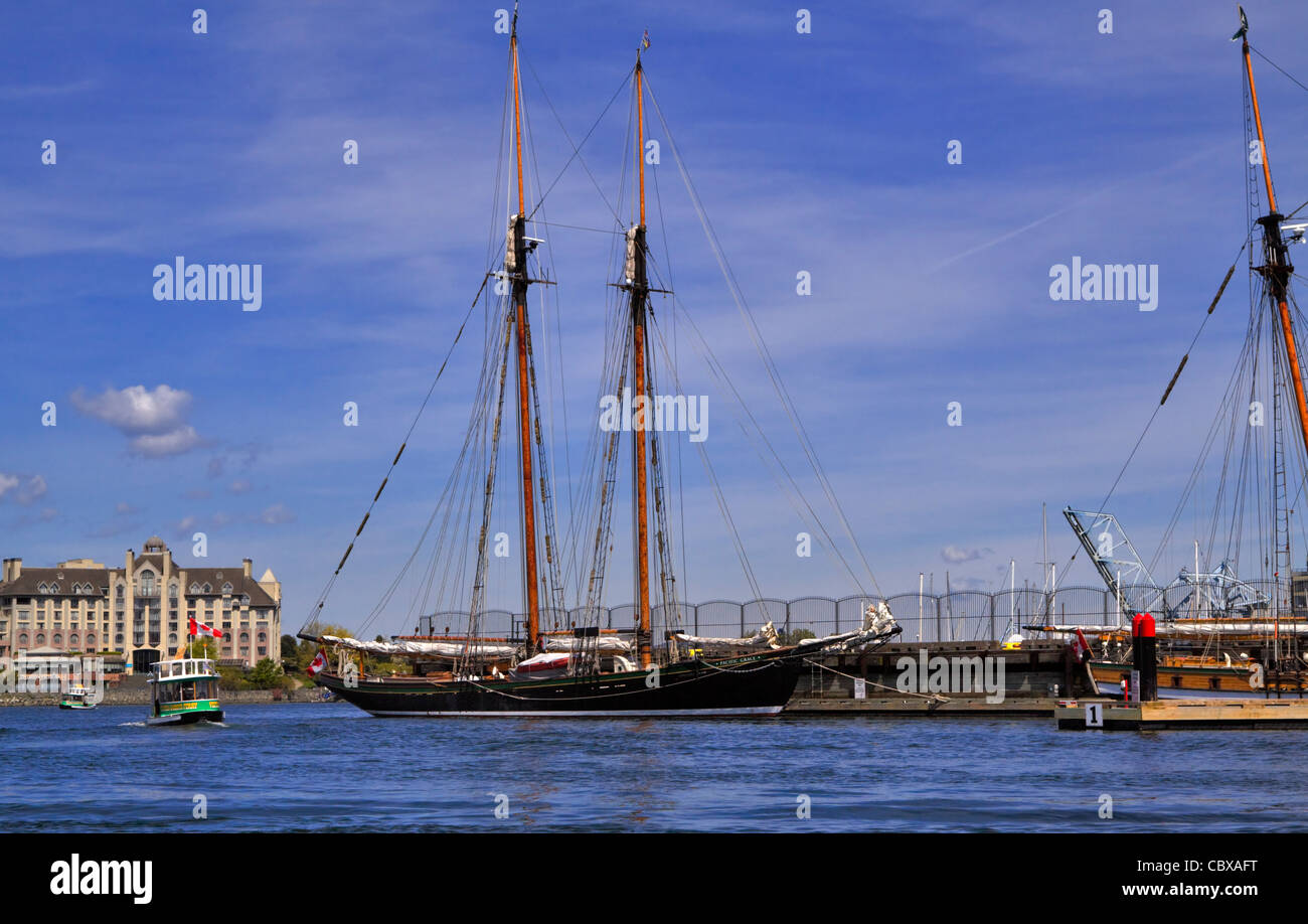The tall ship Pacific Grace is one of two ships based in Victoria ...