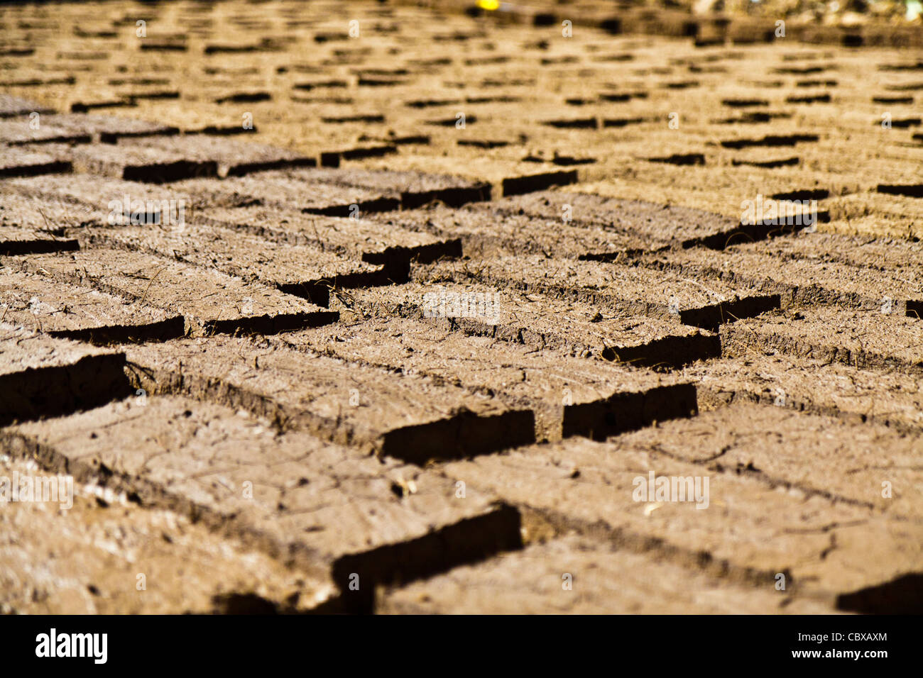 Bricks adobe hi-res stock photography and images - Alamy