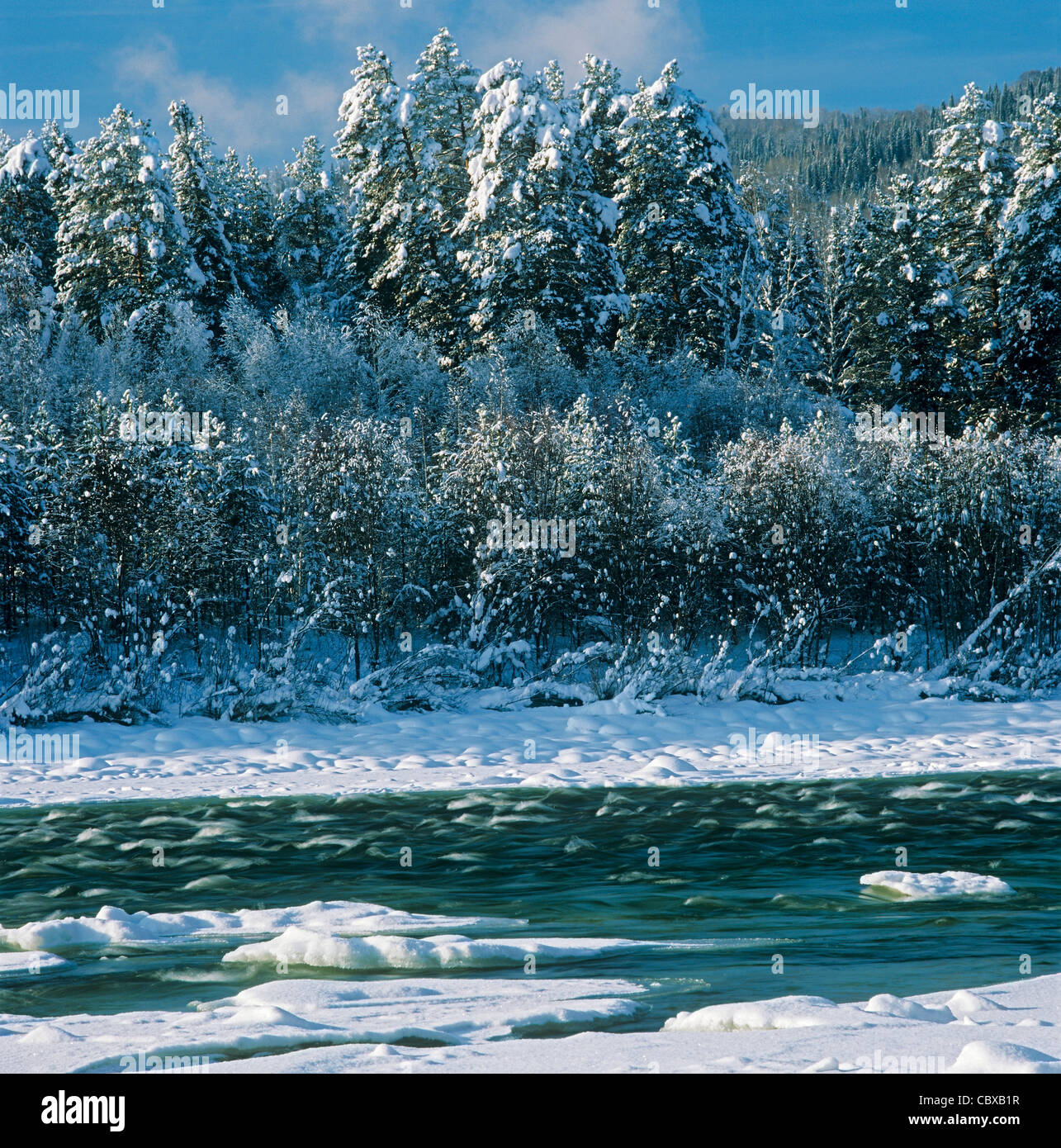 Siberia taiga river hi-res stock photography and images - Alamy