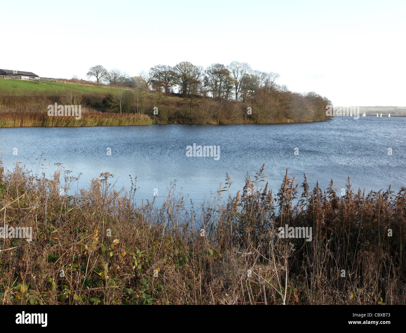 Chelmarsh Reservoir, Shropshire Stock Photo - Alamy