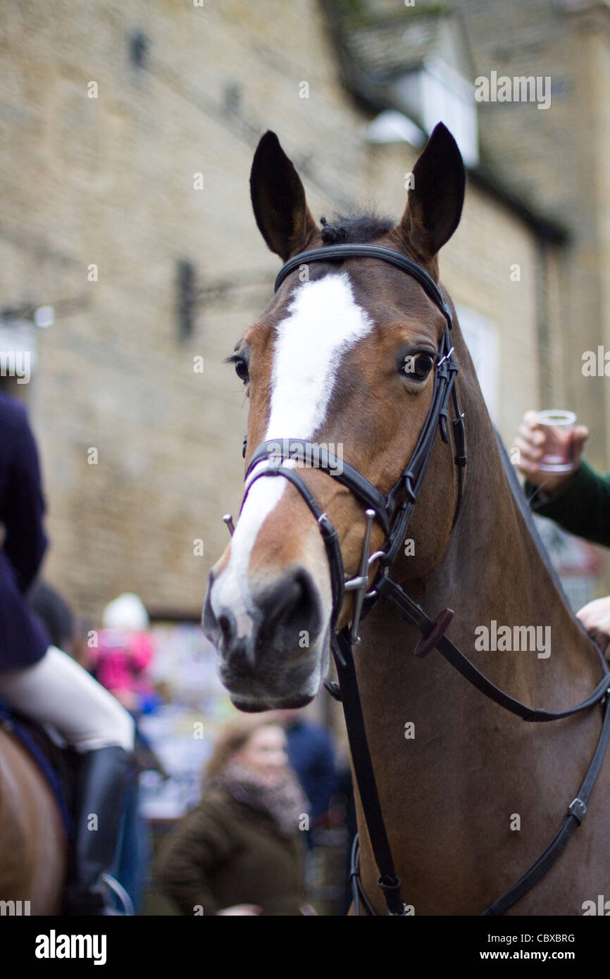 The Heythrop Hunt at the boxing day meet in Chipping Norton Stock Photo ...