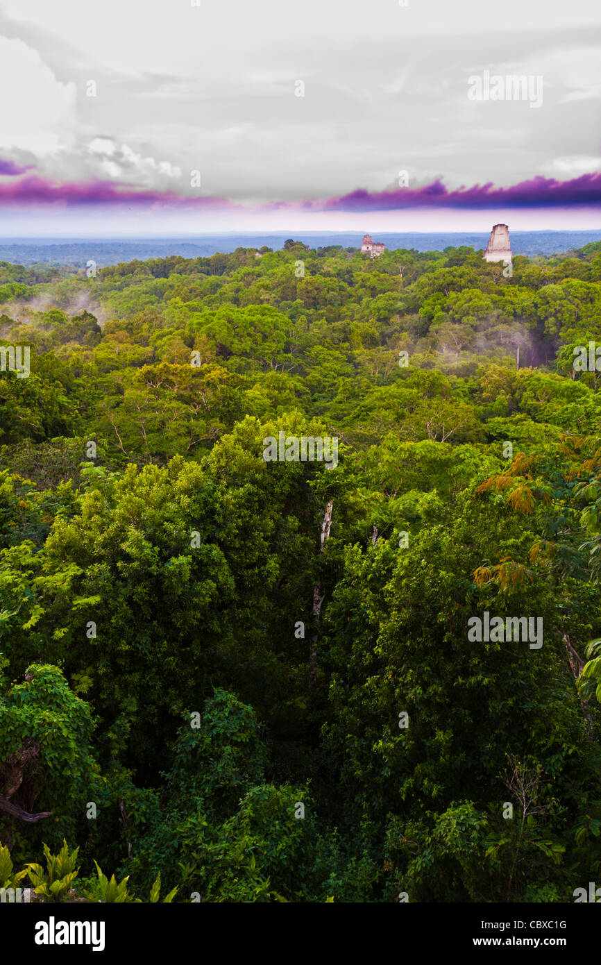 Tikal sunset hi-res stock photography and images - Alamy