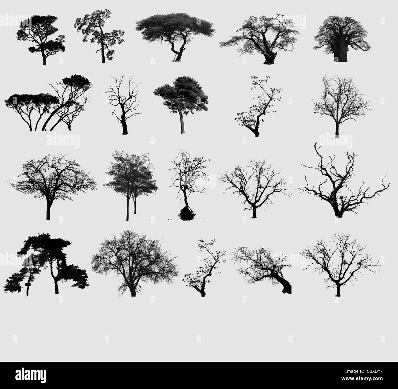 Plant selection Black and White Stock Photos & Images - Alamy