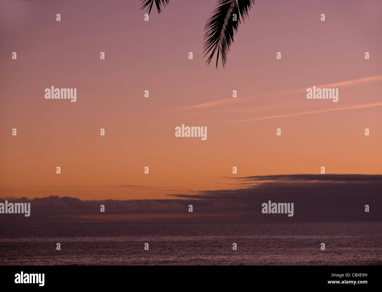 Sunset in the tropics Stock Photo - Alamy