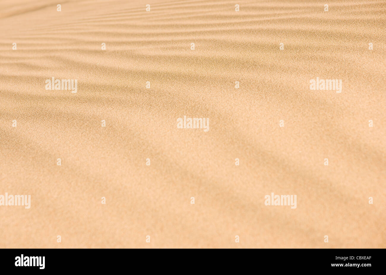 Desert effects hi-res stock photography and images - Alamy