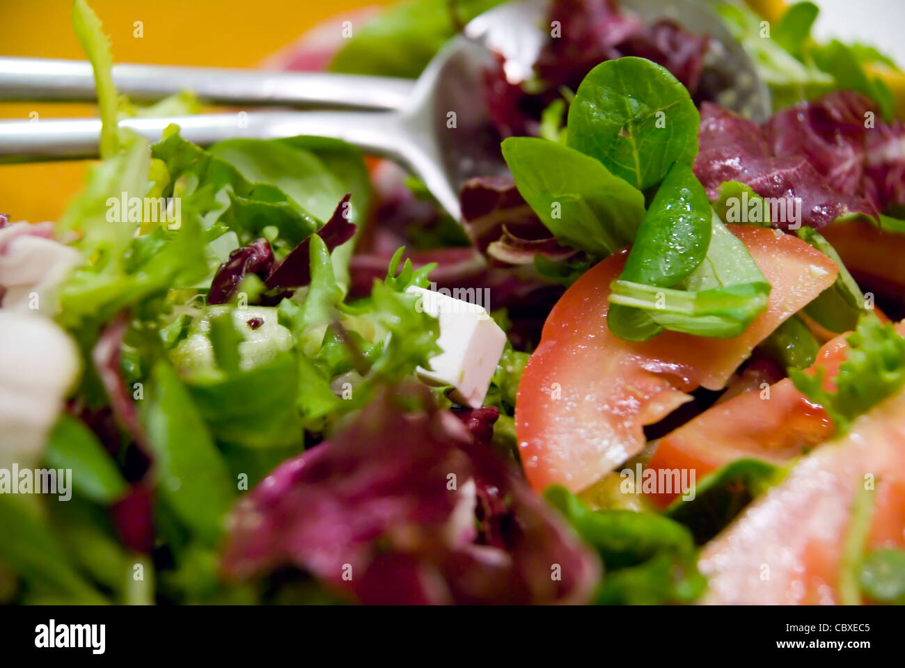 Picture of a fresh salad Stock Photo - Alamy