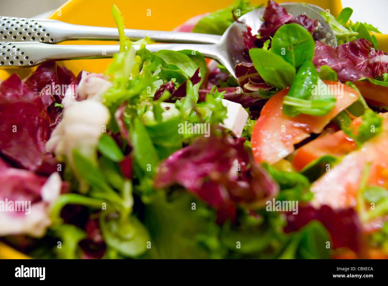 Picture of a fresh salad Stock Photo - Alamy