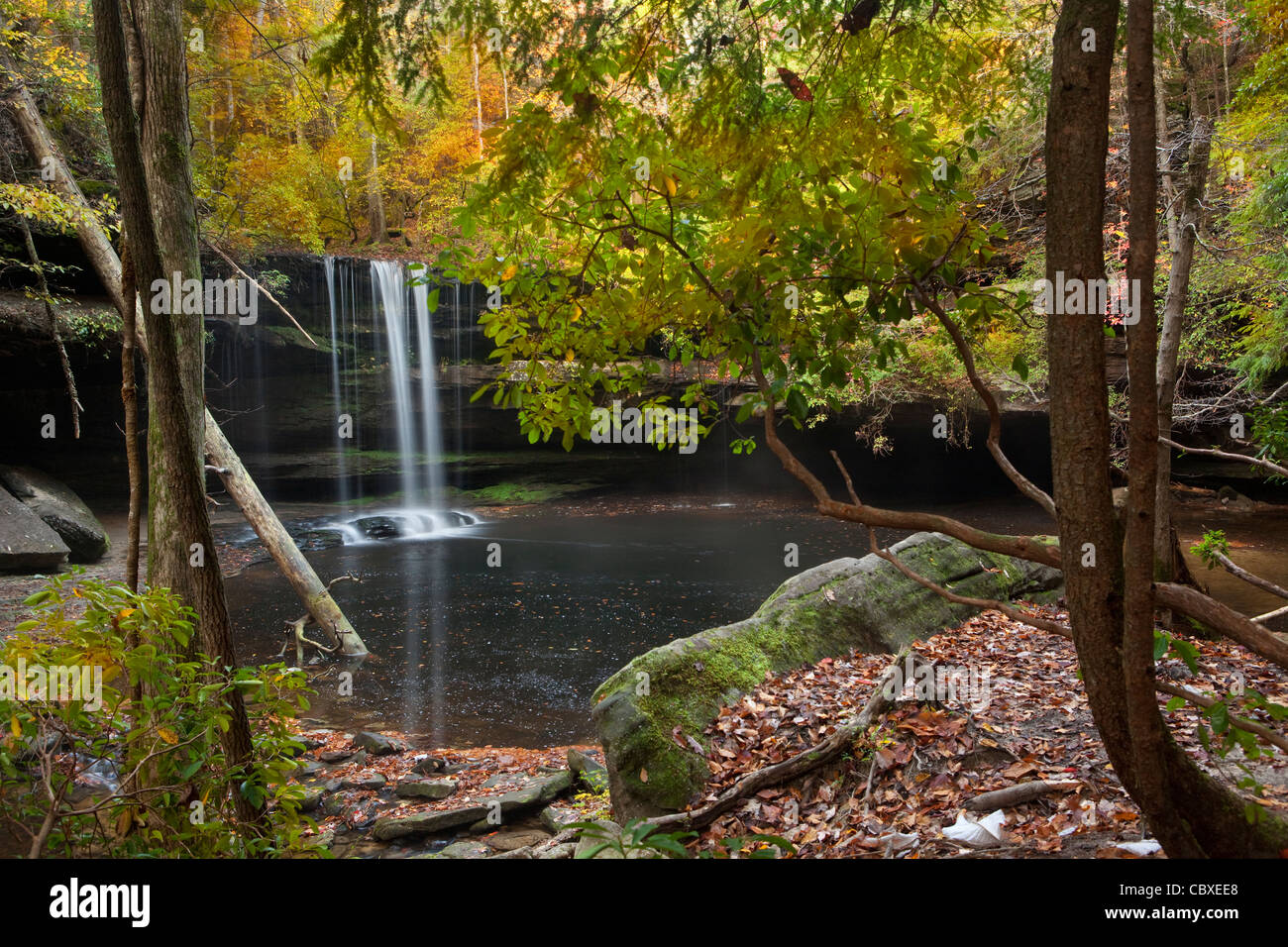 Fall colors and waterfall in the Sipsey Wilderness, Bankhead National ...