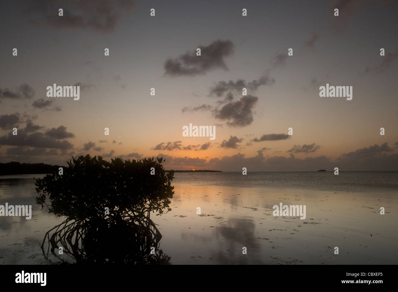 Florida keys key west key largo bahia hi-res stock photography and ...