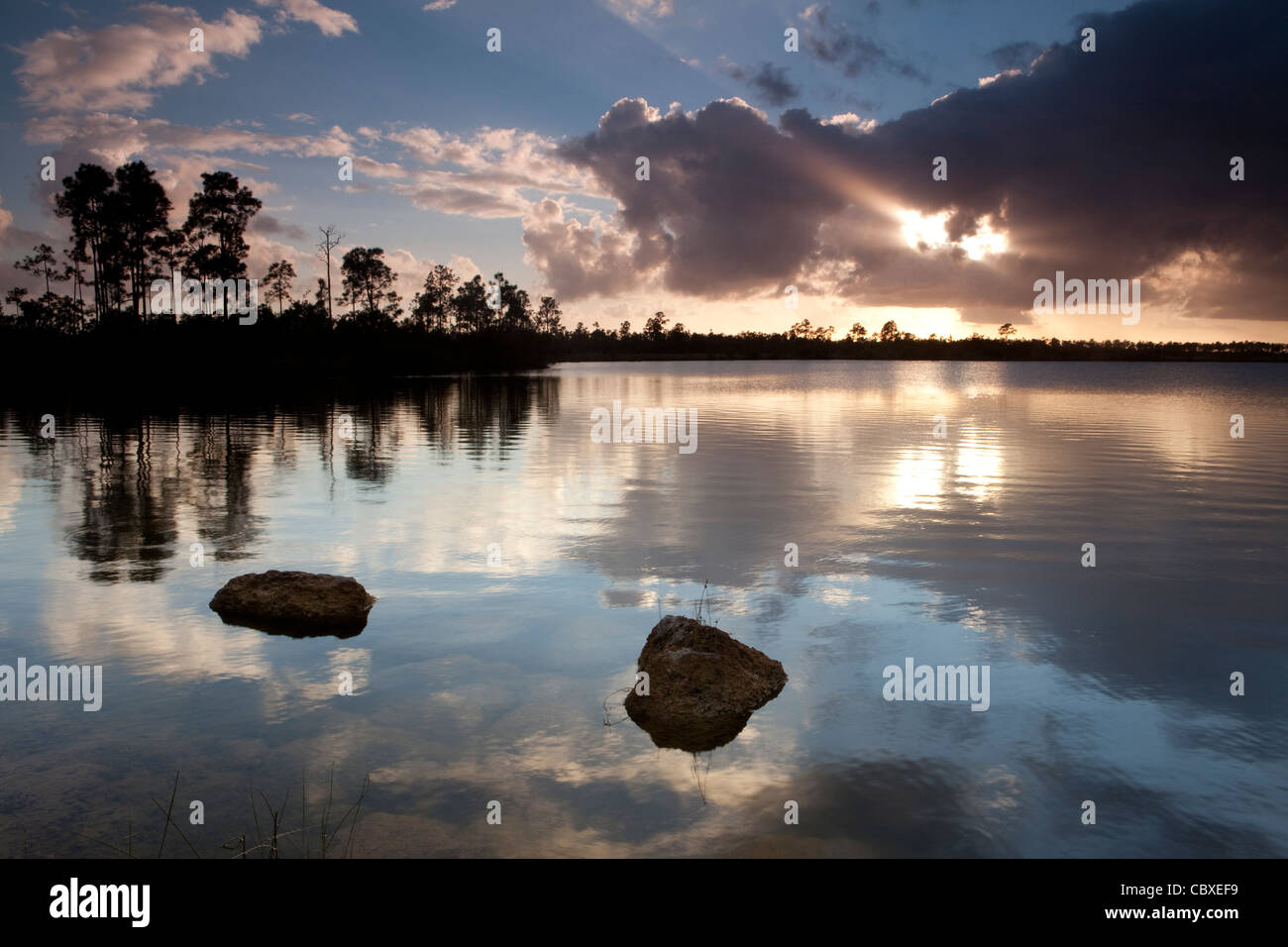 Sunset over swamp lake scene at the Everglades National Park, Florida ...