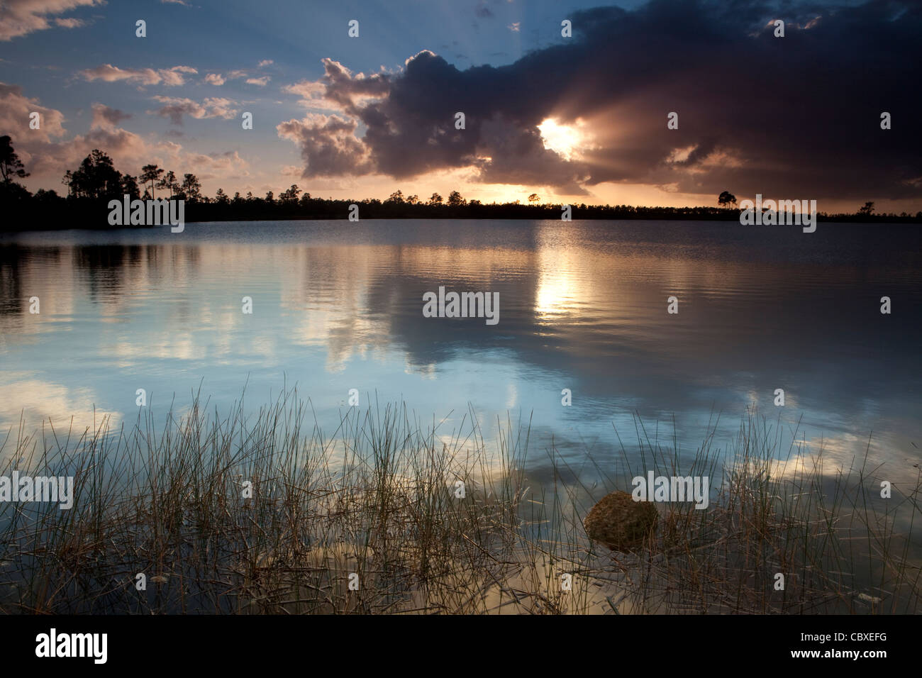 Everglades ocean hi-res stock photography and images - Alamy