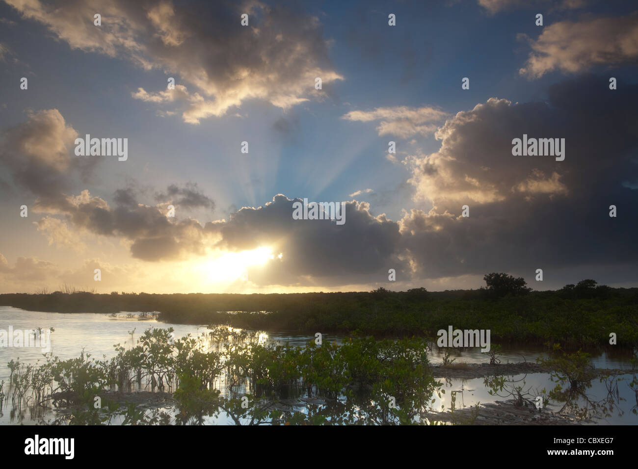 Lower matecumbe key hi-res stock photography and images - Alamy